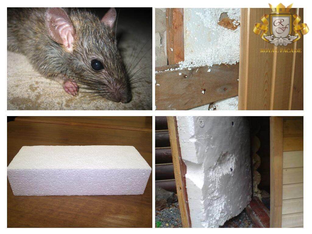 Which insulation materials are not gnawed by mice and how to protect ...