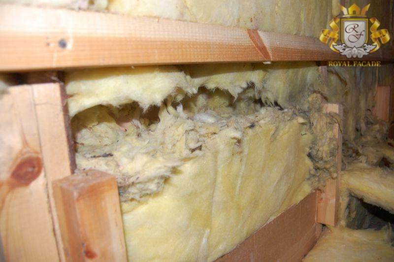 Which insulation materials are not gnawed by mice and how to protect ...